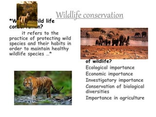 Conservation of natural resources | PPTX