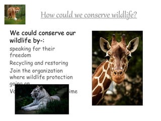 Conservation of natural resources | PPTX