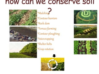 Conservation of natural resources | PPTX