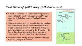 Conservation activities on aquatic habitat and fauna.pptx