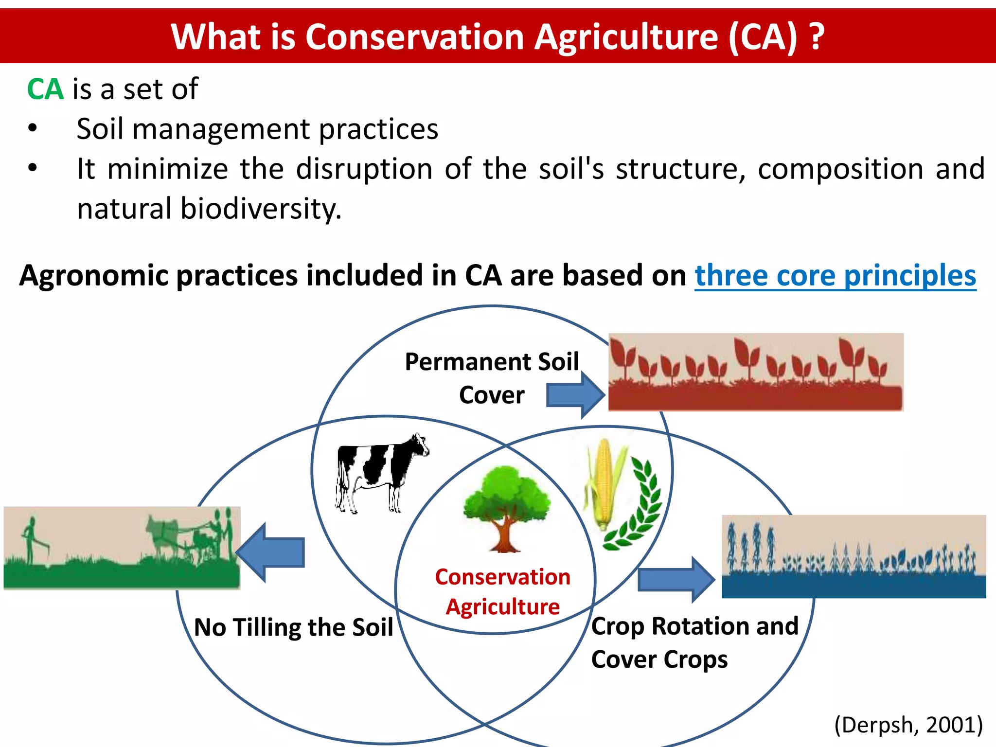 Conservation Agriculture-1.pptx