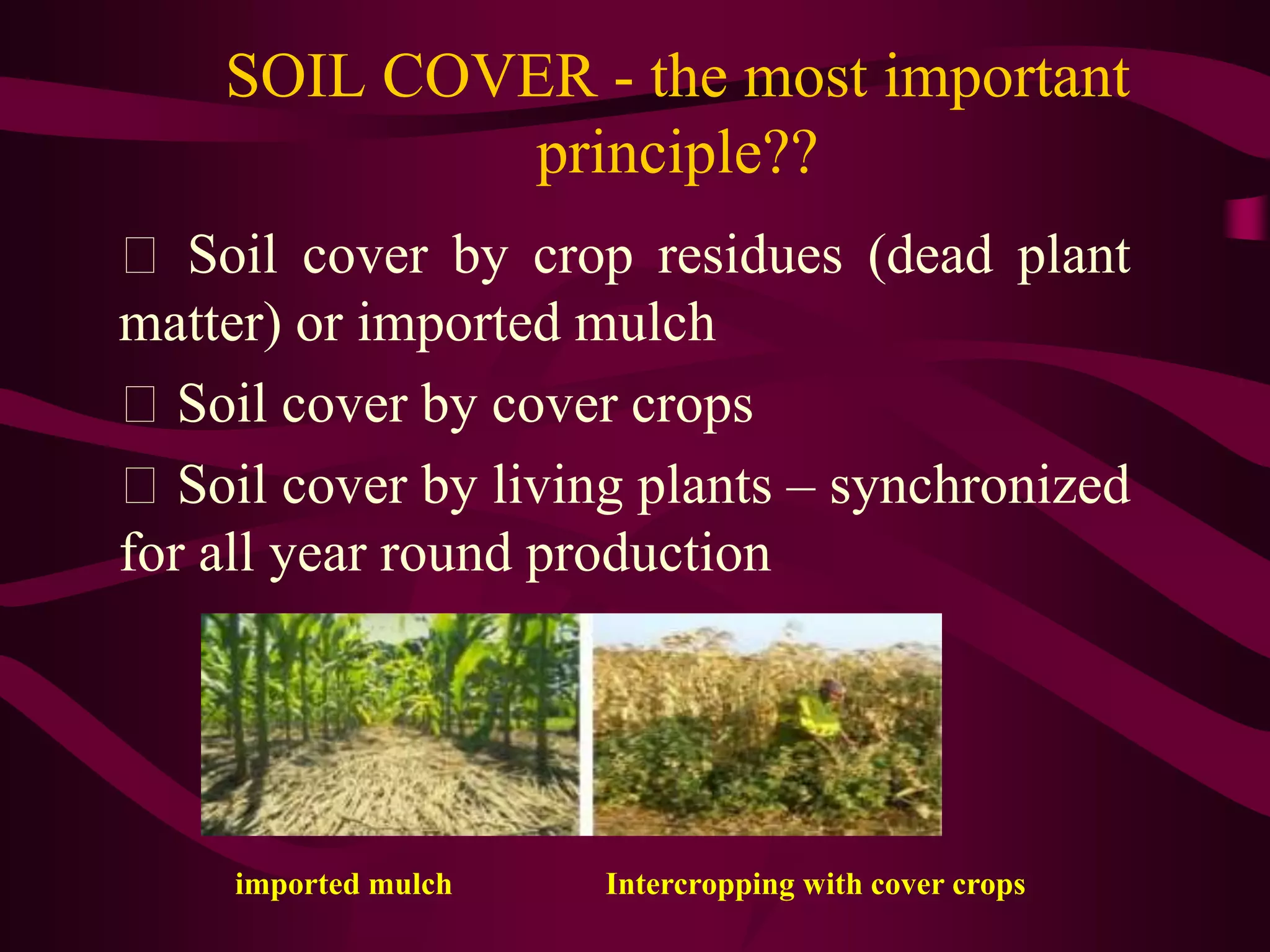 Conservation Agriculture | PPTX