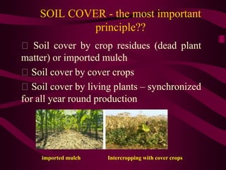 Conservation Agriculture | PPTX