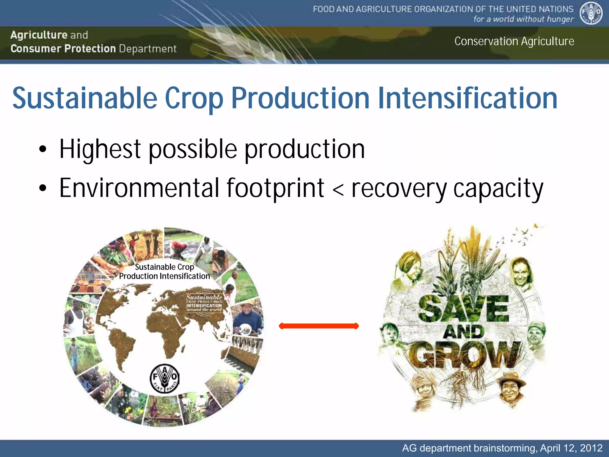 Conservation Agriculture for Sustainable Crop Production ...