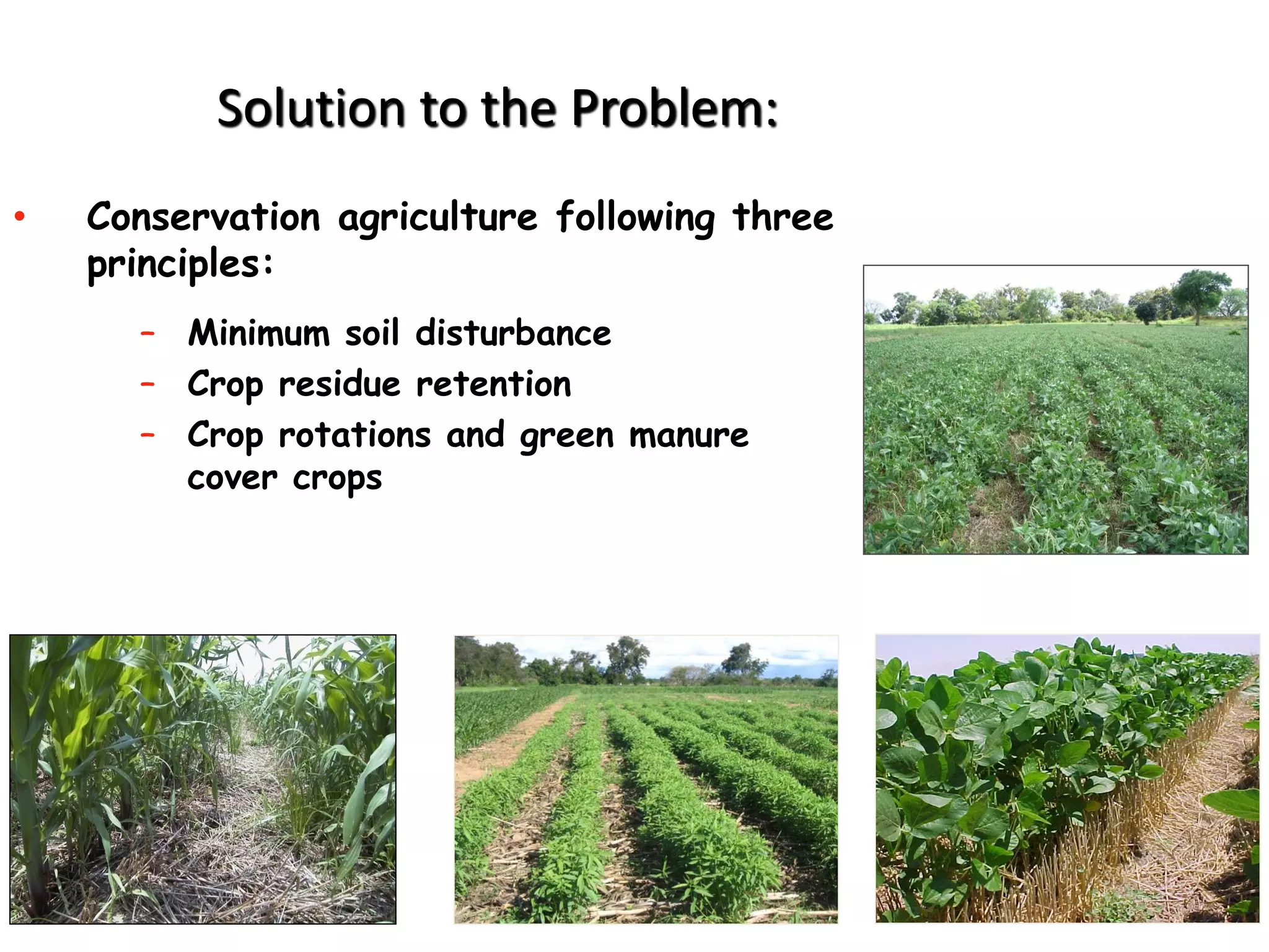 Conservation Agriculture in Africa | PDF