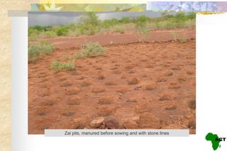 Conservation Agriculture in Africa ,the challenges and vision | PDF