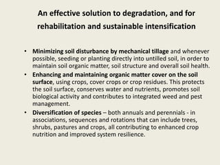 Conservation Agriculture, principles, land management and ecosystem ...