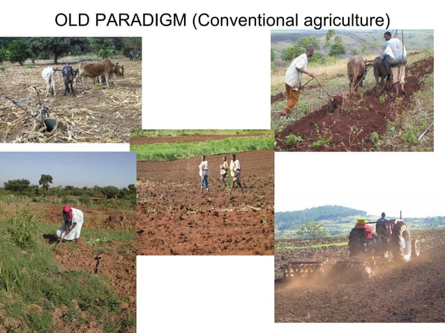 Conservation Agriculture tools and equipment | PDF | Agriculture ...
