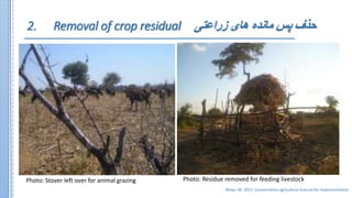 Conservational Agriculture | PPTX