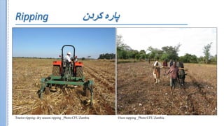 Conservational Agriculture | PPTX