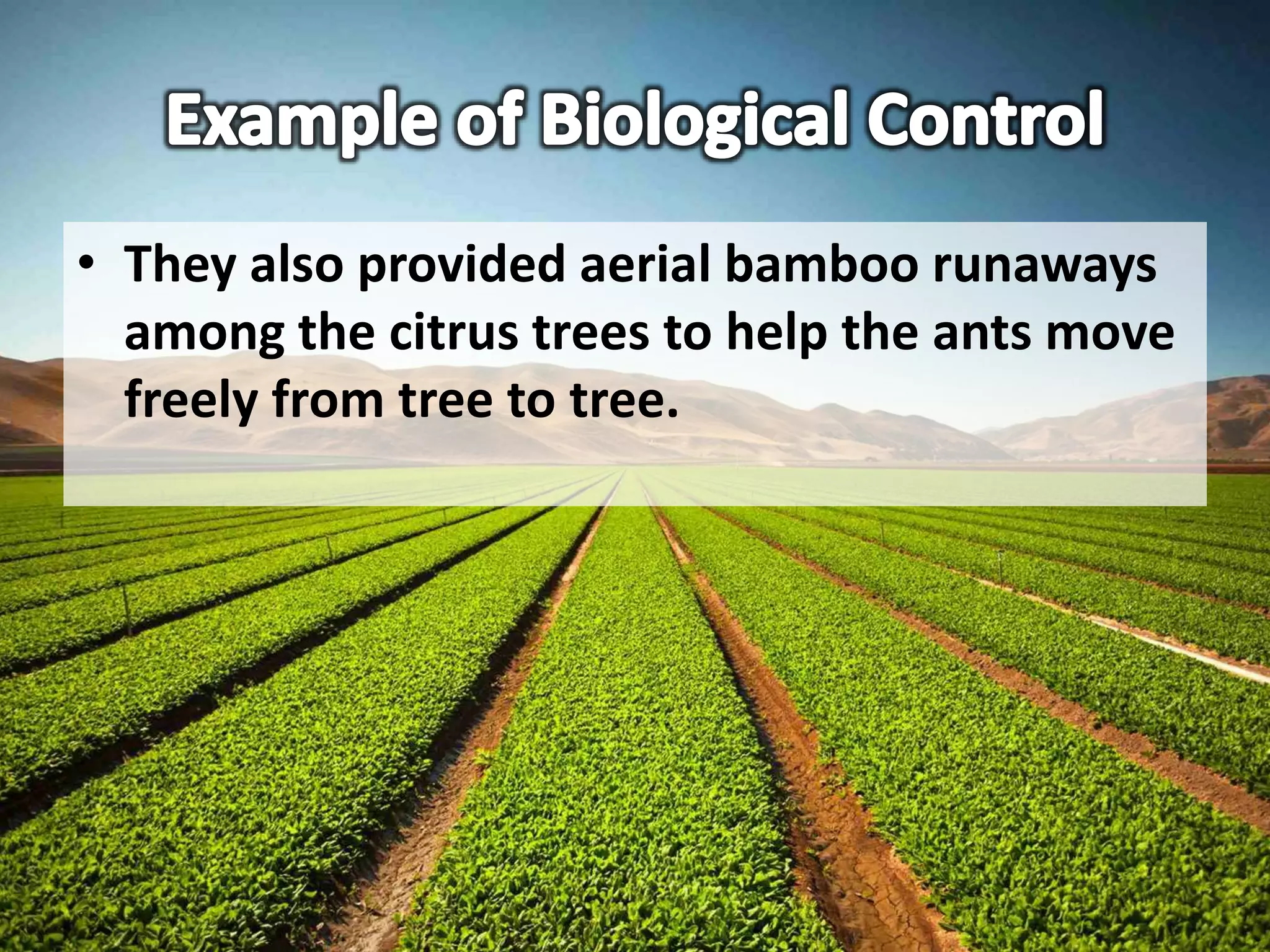 Conservation and Augmentation of Biological Control Agent | PPTX