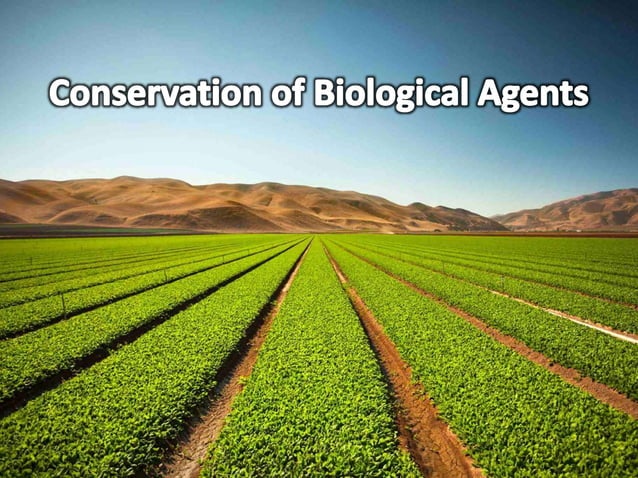 Conservation and Augmentation of Biological Control Agent | PPTX