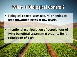 Conservation and Augmentation of Biological Control Agent | PPTX