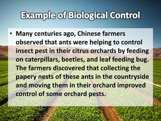 Conservation and Augmentation of Biological Control Agent | PPTX