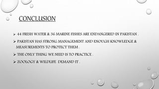 Conservation and management of fishes | PPTX