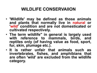 Conservation and management of wildlife.pptx