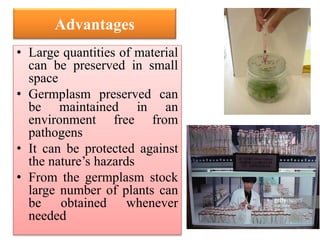 Conservation and preservation of germplasm | PPTX
