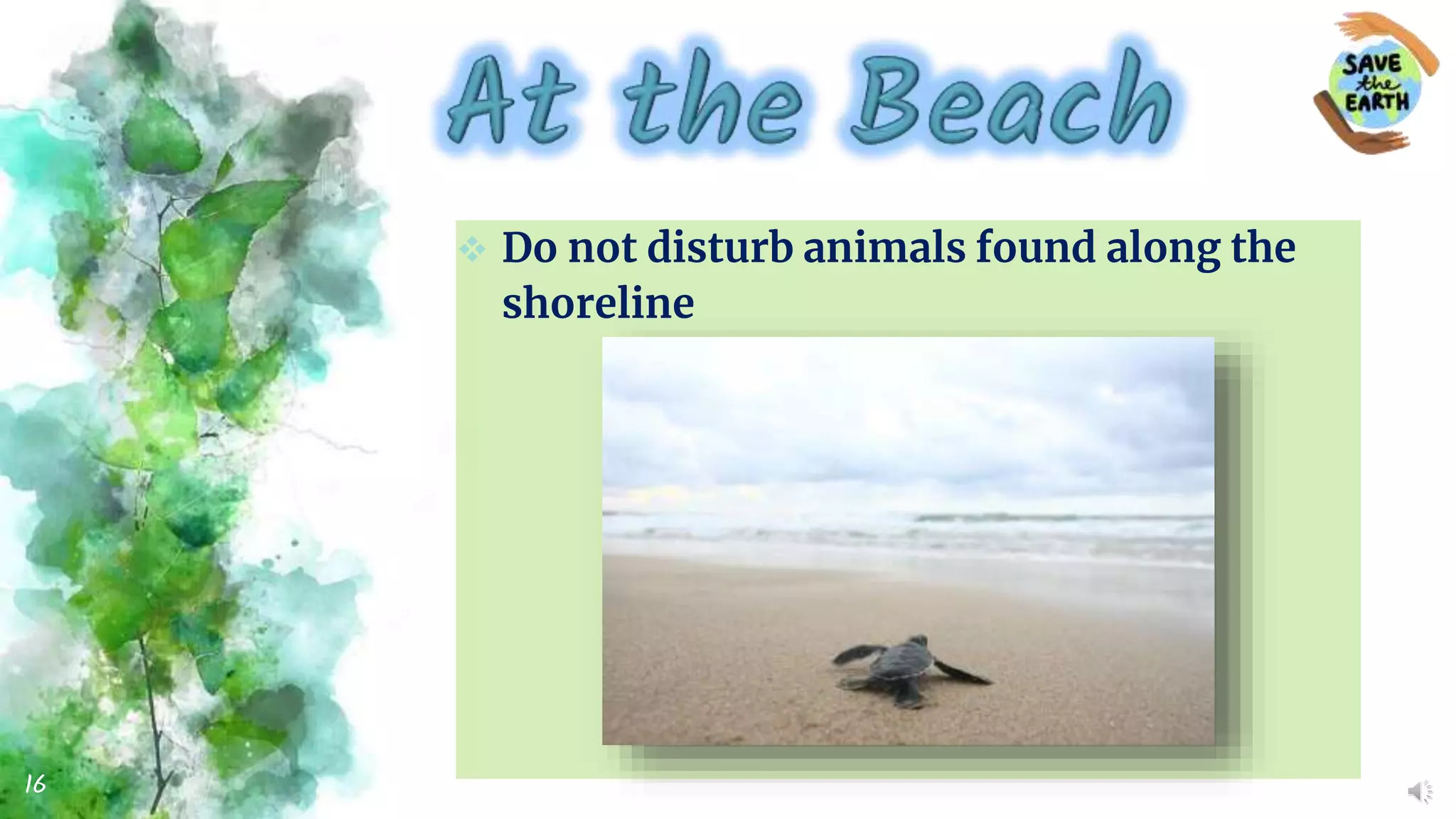 Conservation and Protection of Estuaries and Intertidal Zones.pptx