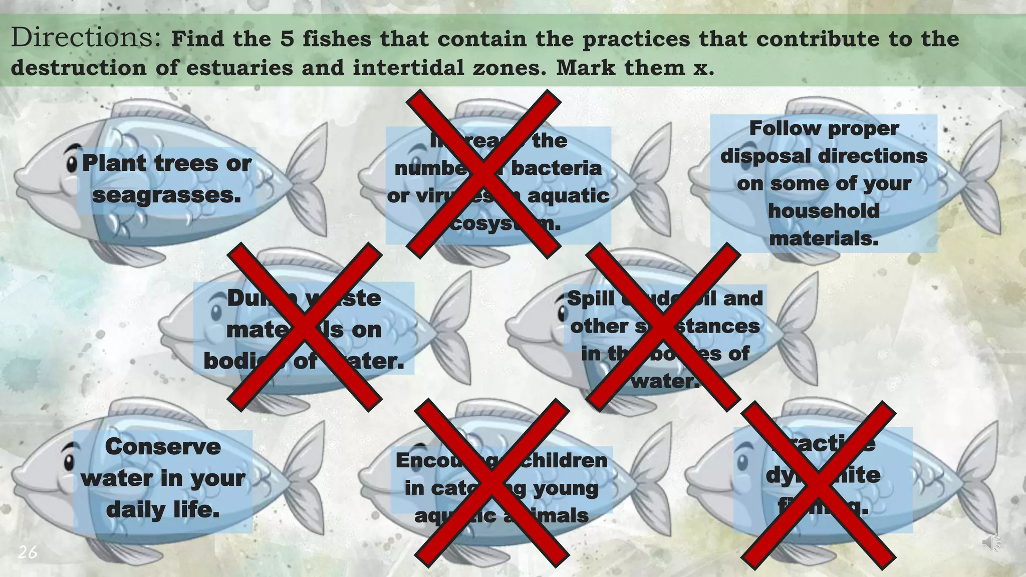 Conservation and Protection of Estuaries and Intertidal Zones.pptx