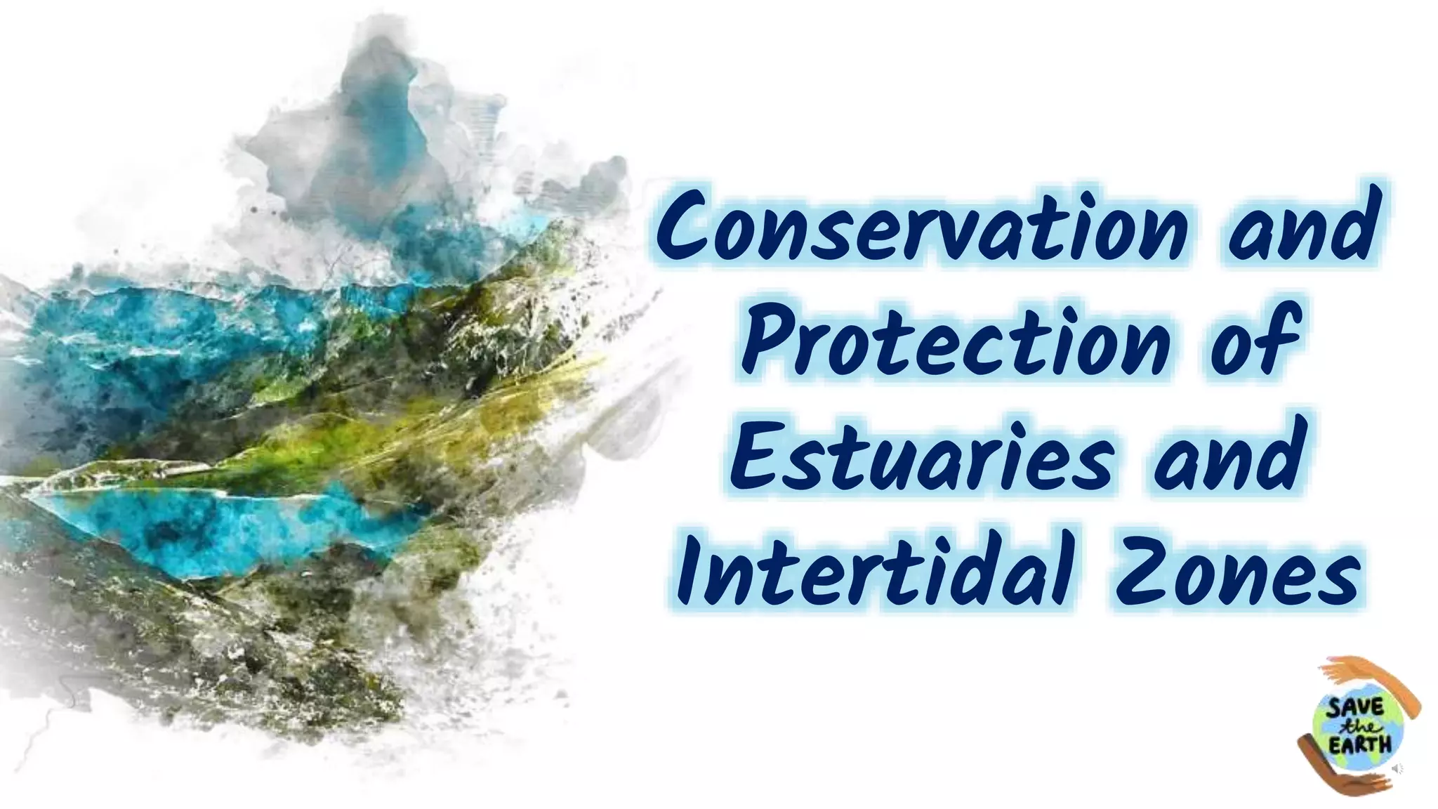 Conservation and Protection of Estuaries and Intertidal Zones.pptx