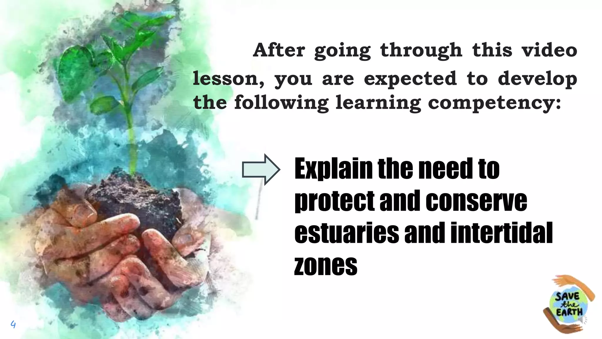 Conservation and Protection of Estuaries and Intertidal Zones.pptx