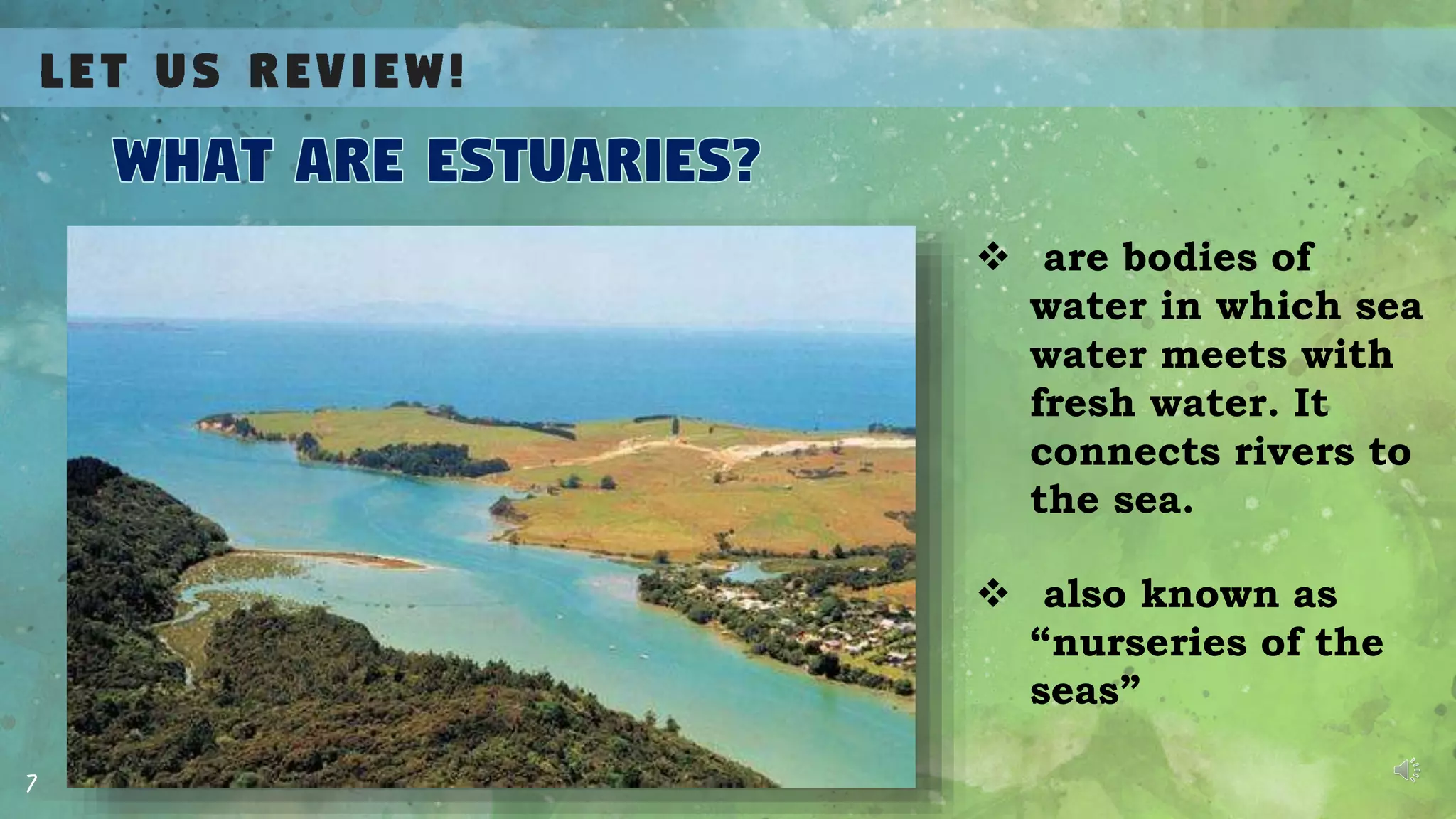 Conservation and Protection of Estuaries and Intertidal Zones.pptx