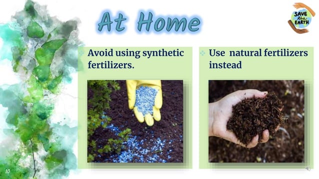 Conservation and Protection of Estuaries and Intertidal Zones.pptx | Science