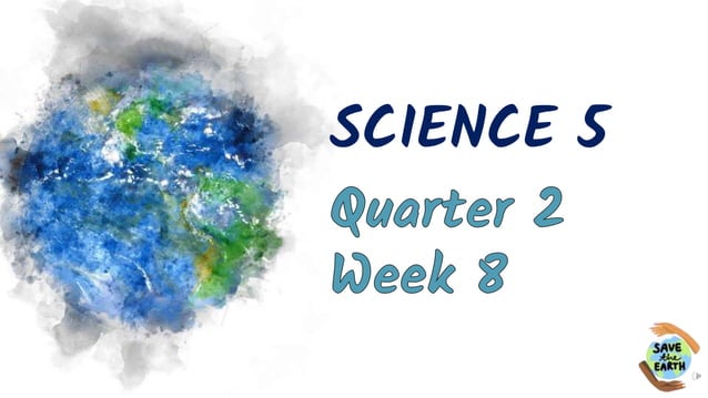 Conservation and Protection of Estuaries and Intertidal Zones.pptx | Science