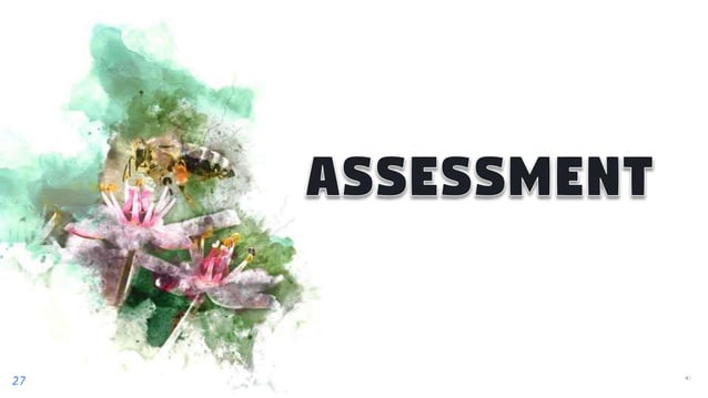 Conservation and Protection of Estuaries and Intertidal Zones.pptx ...
