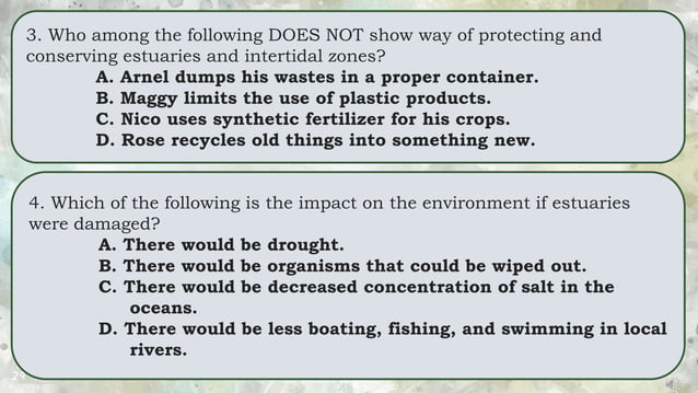 Conservation and Protection of Estuaries and Intertidal Zones.pptx ...