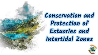 Conservation and Protection of Estuaries and Intertidal Zones.pptx