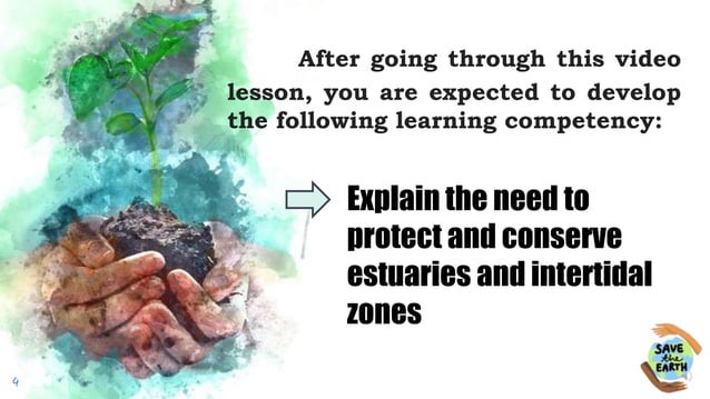 Conservation and Protection of Estuaries and Intertidal Zones.pptx | Science