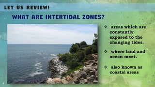Conservation and Protection of Estuaries and Intertidal Zones.pptx
