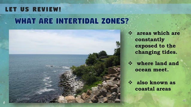 Conservation and Protection of Estuaries and Intertidal Zones.pptx ...