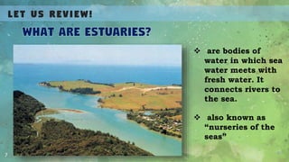 Conservation and Protection of Estuaries and Intertidal Zones.pptx