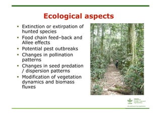 Conservation and use of wildlife in the Congo | PPT