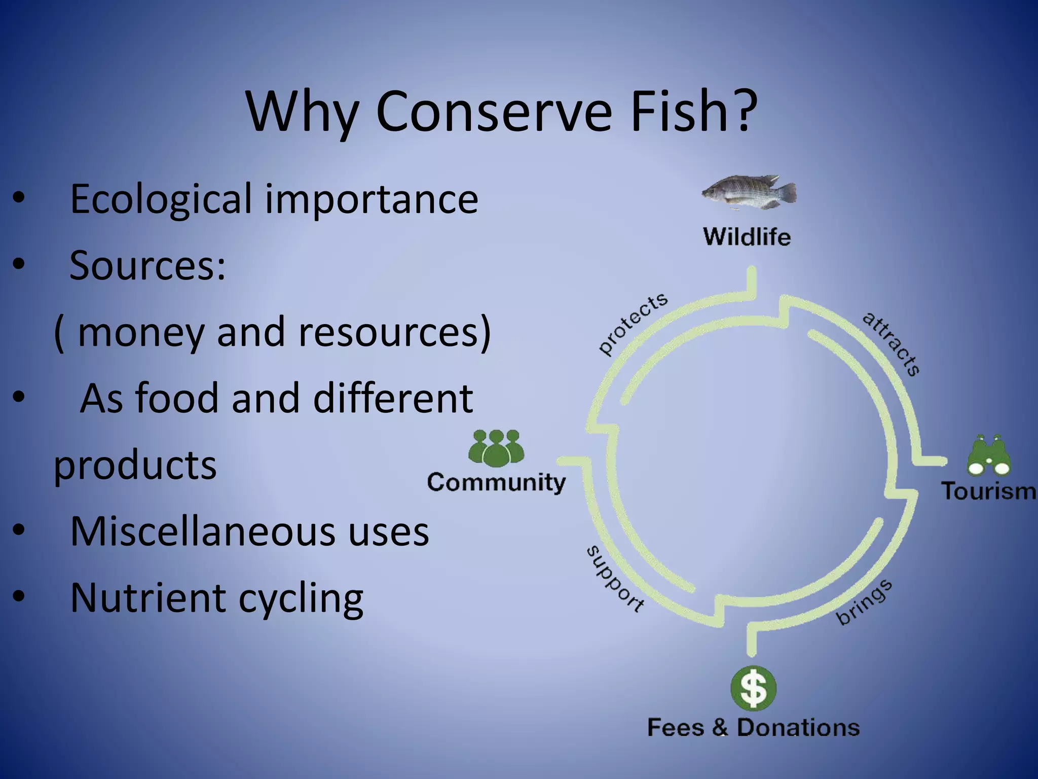Conservation approach Fish Genetics and Resource Management (FiGR ...