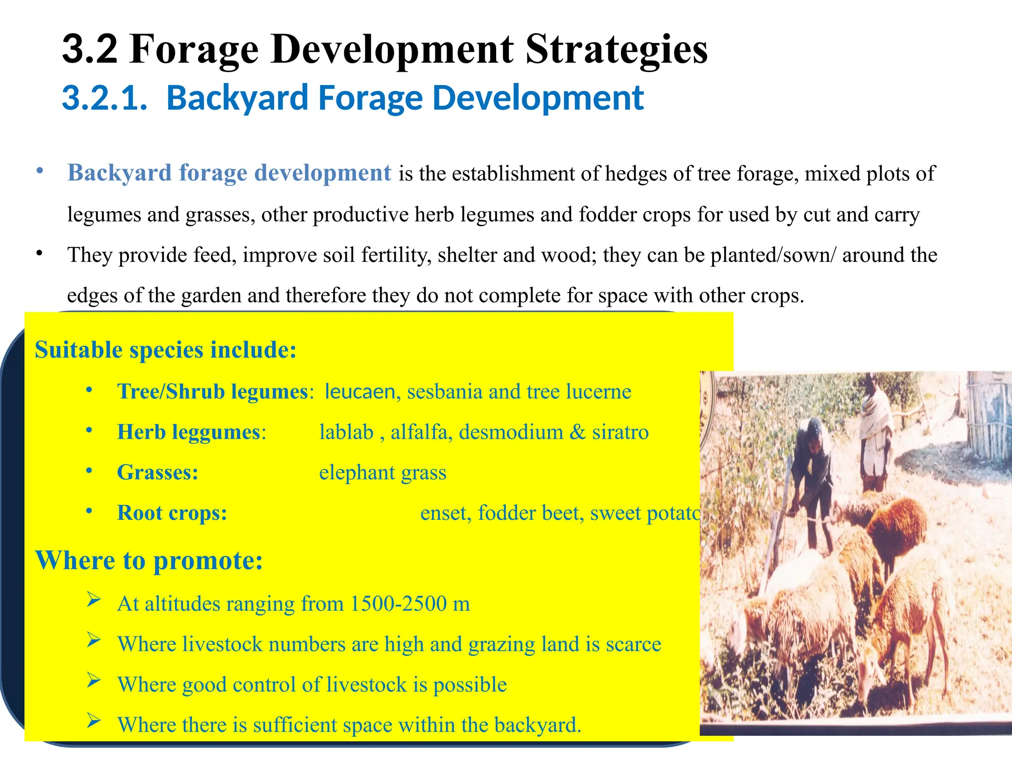 Conservation Based Forage Development.pptx