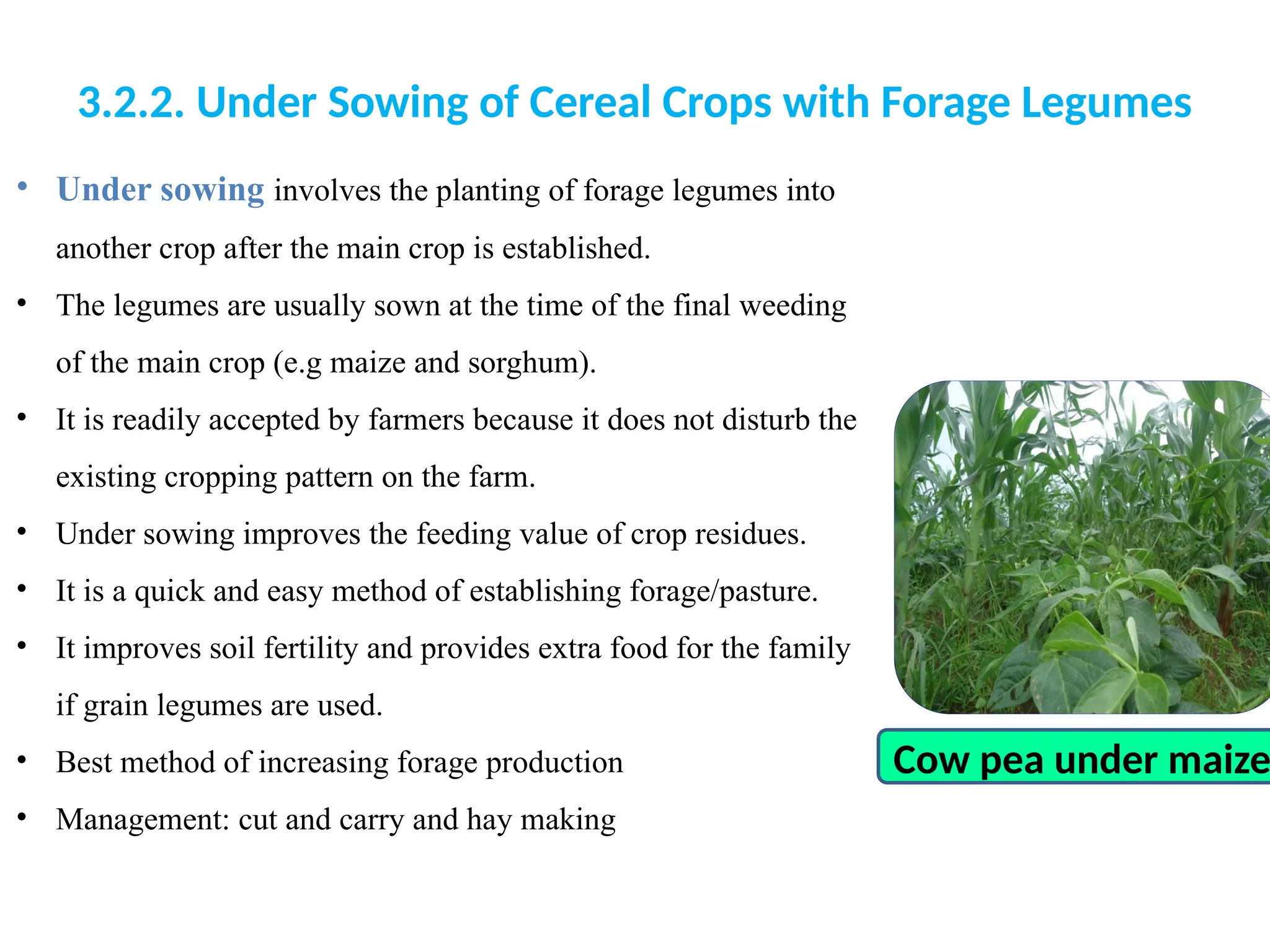 Conservation Based Forage Development.pptx