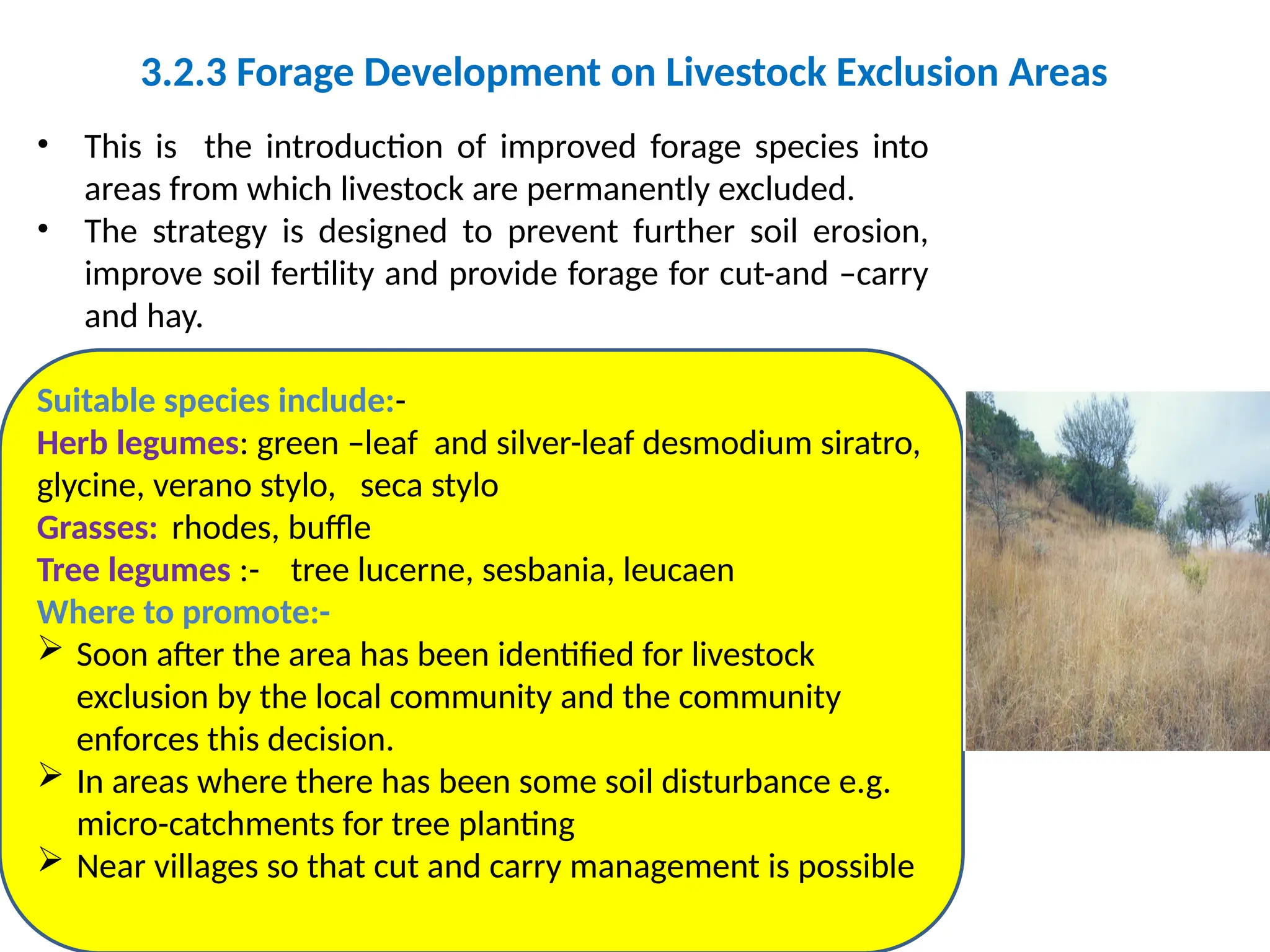 Conservation Based Forage Development.pptx