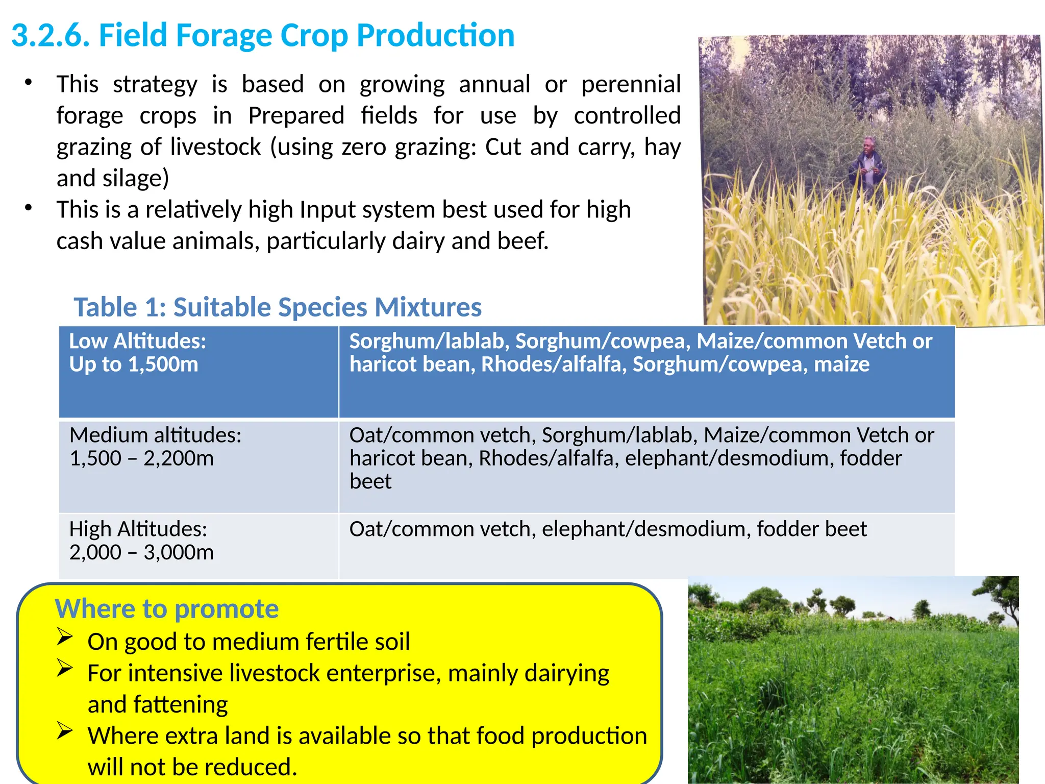 Conservation Based Forage Development.pptx