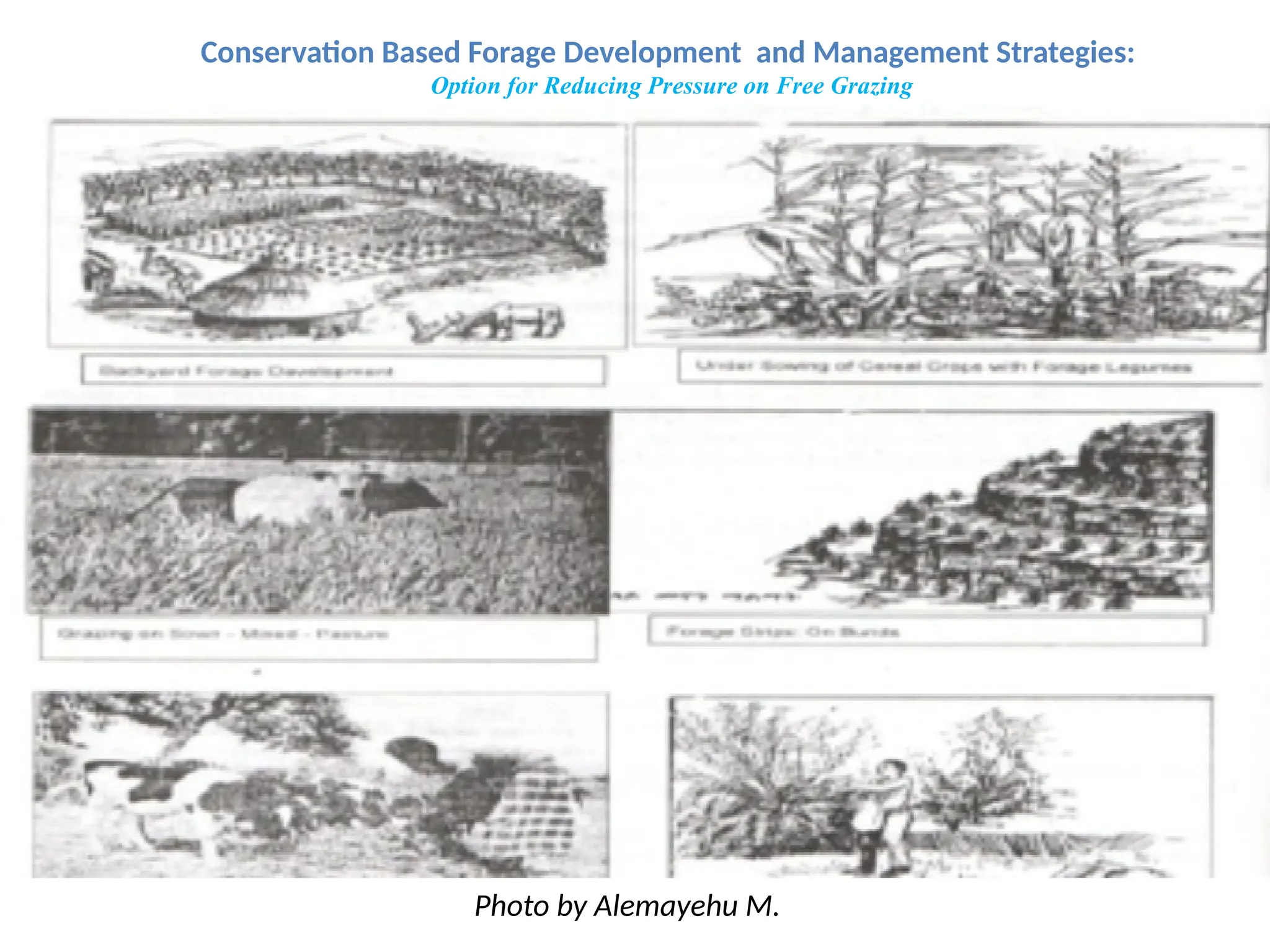Conservation Based Forage Development.pptx