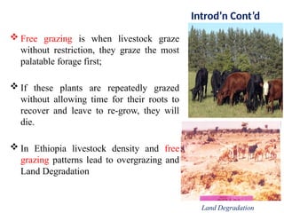 Conservation Based Forage Development.pptx