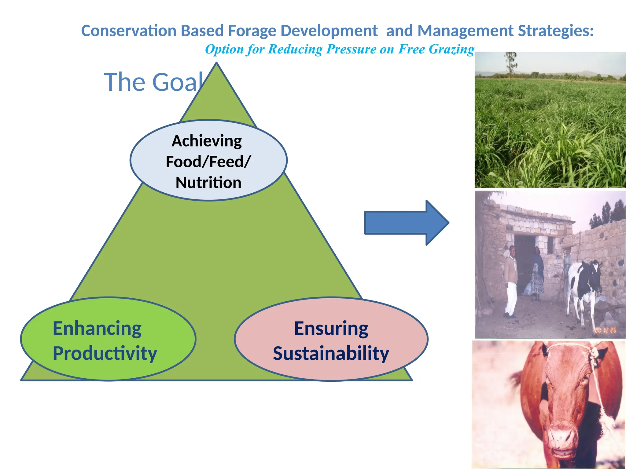 Conservation Based Forage Development.pptx
