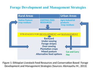 Conservation Based Forage Development.pptx
