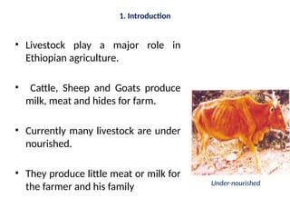 Conservation Based Forage Development.pptx