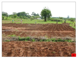 Conservation farming unit (CFU) and conservation agriculture | PDF