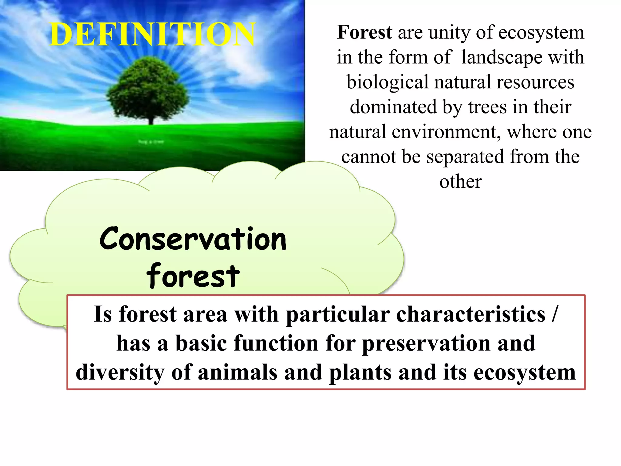 Conservation forest | PPT