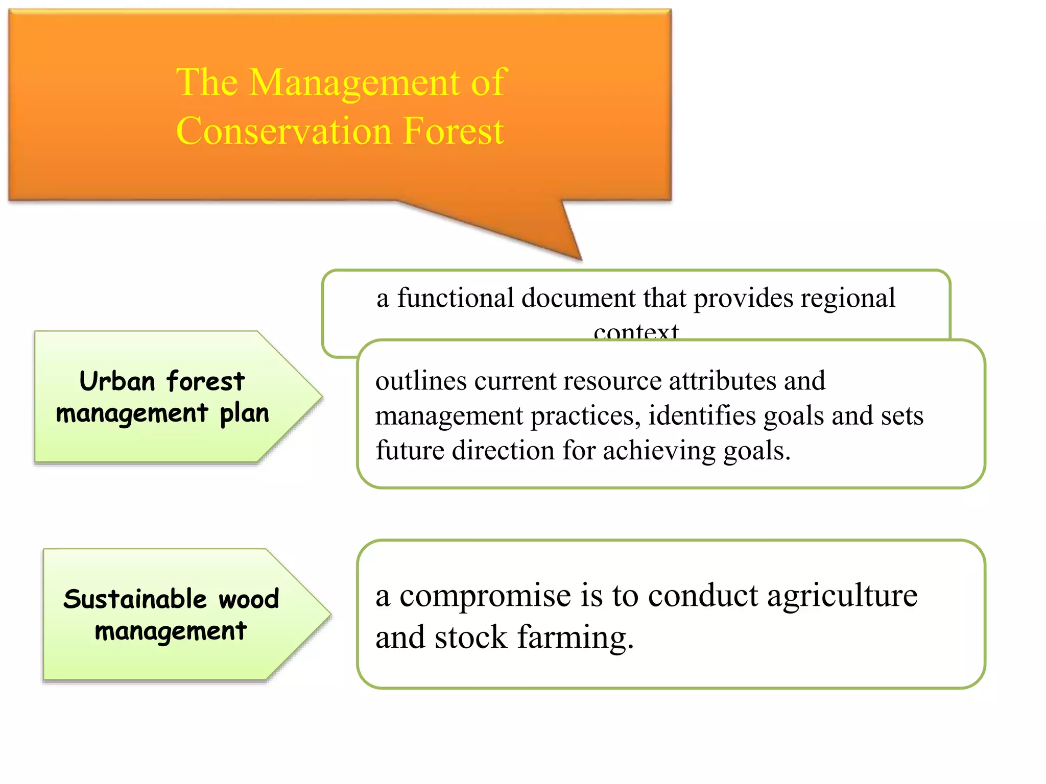 Conservation forest | PPT