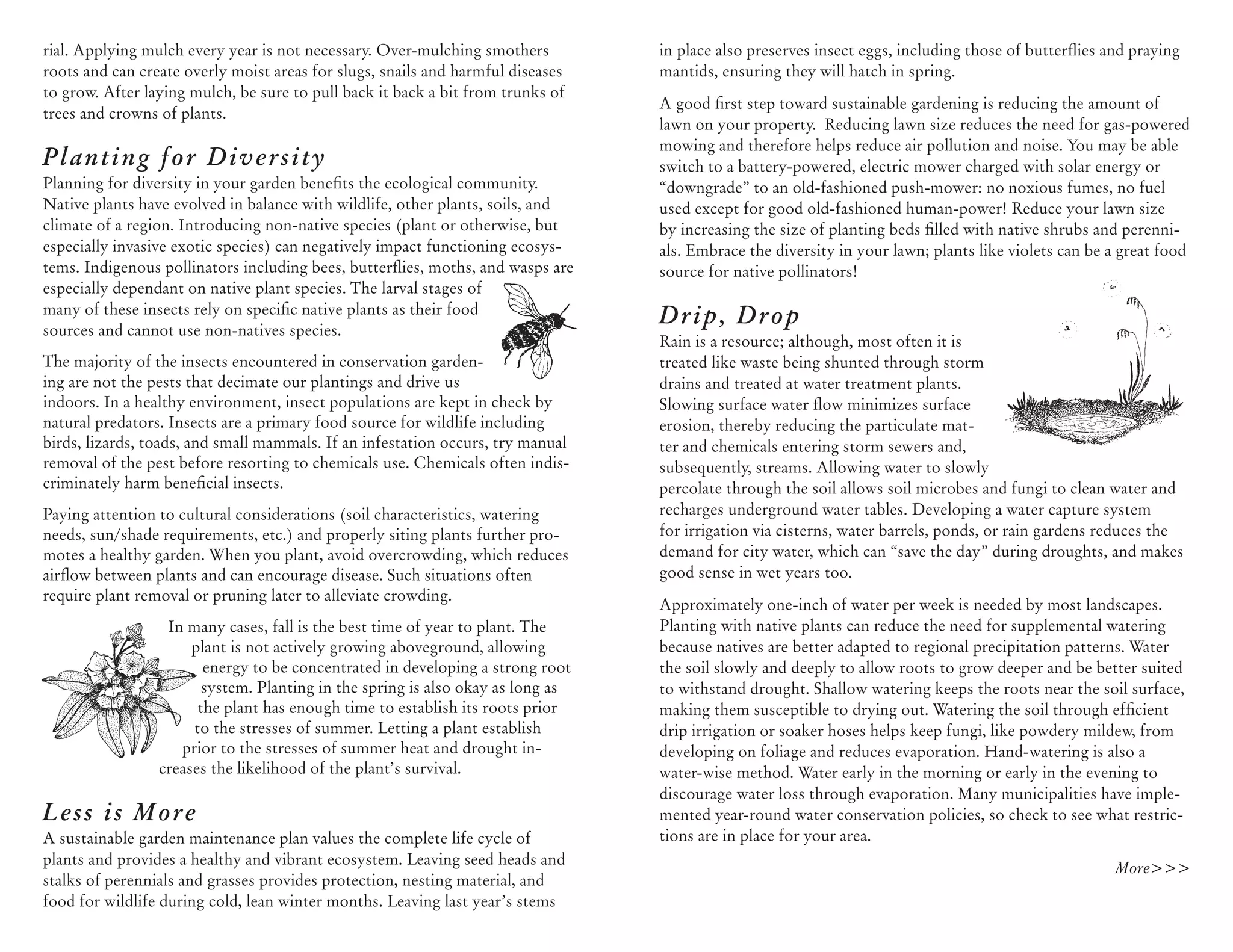 Sustainable Gardening Helps to Ensure Health | PDF